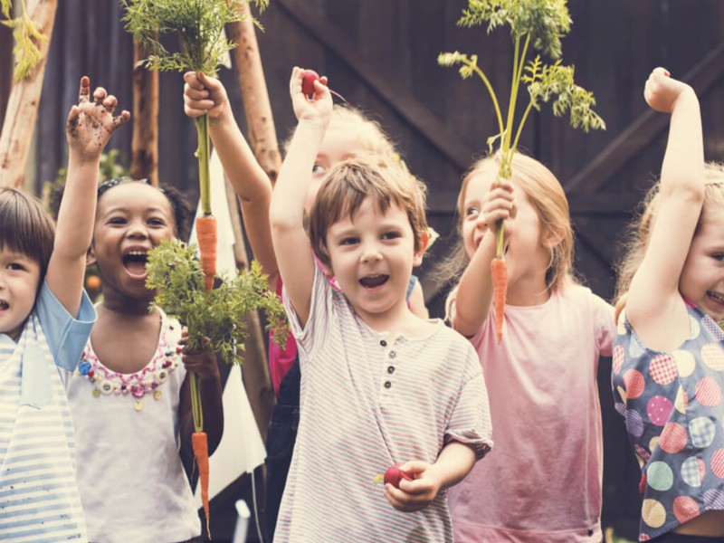 How to Get Children Excited About Gardening - West Somerset Garden Centre