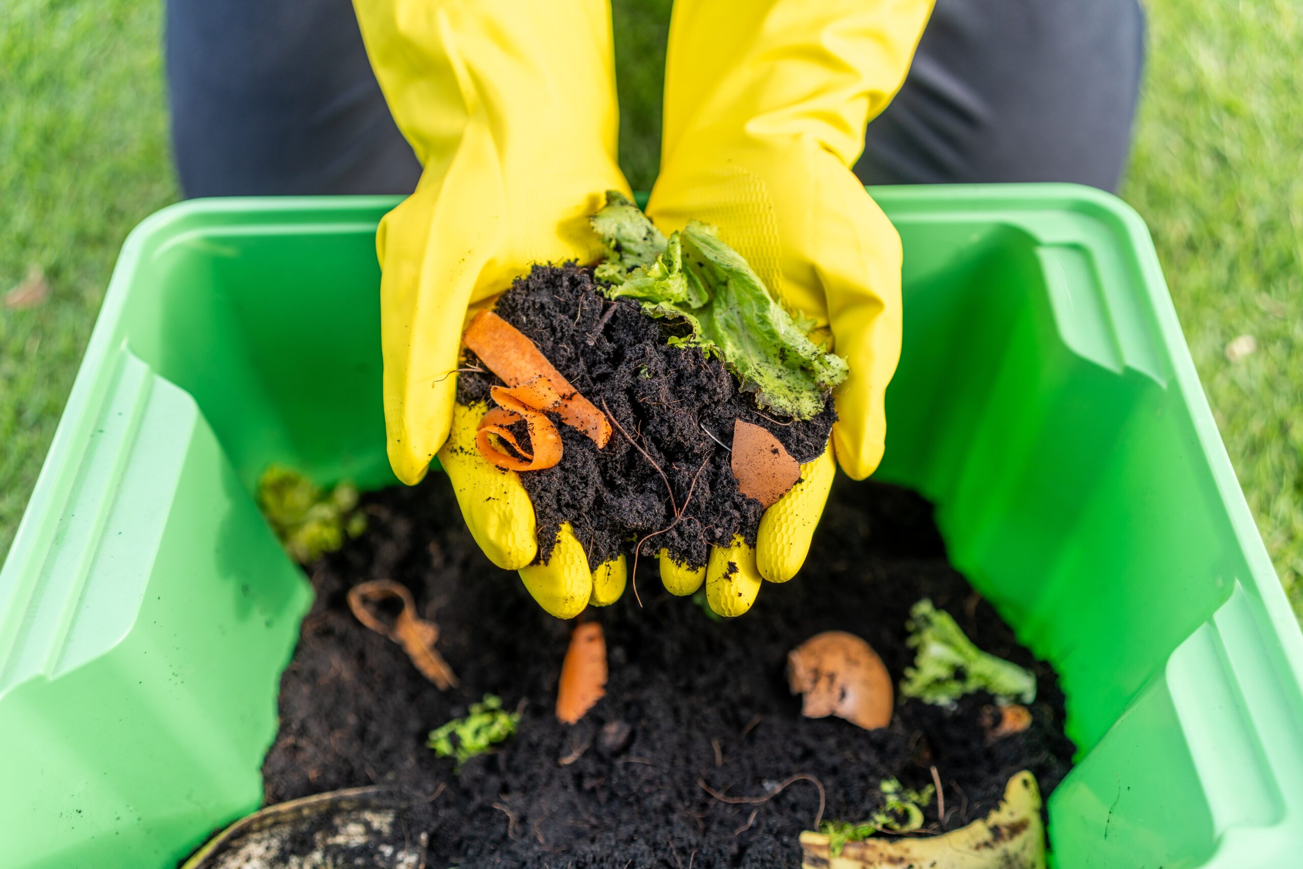 What's the Right Compost for Your Plants? - West Somerset Garden Centre